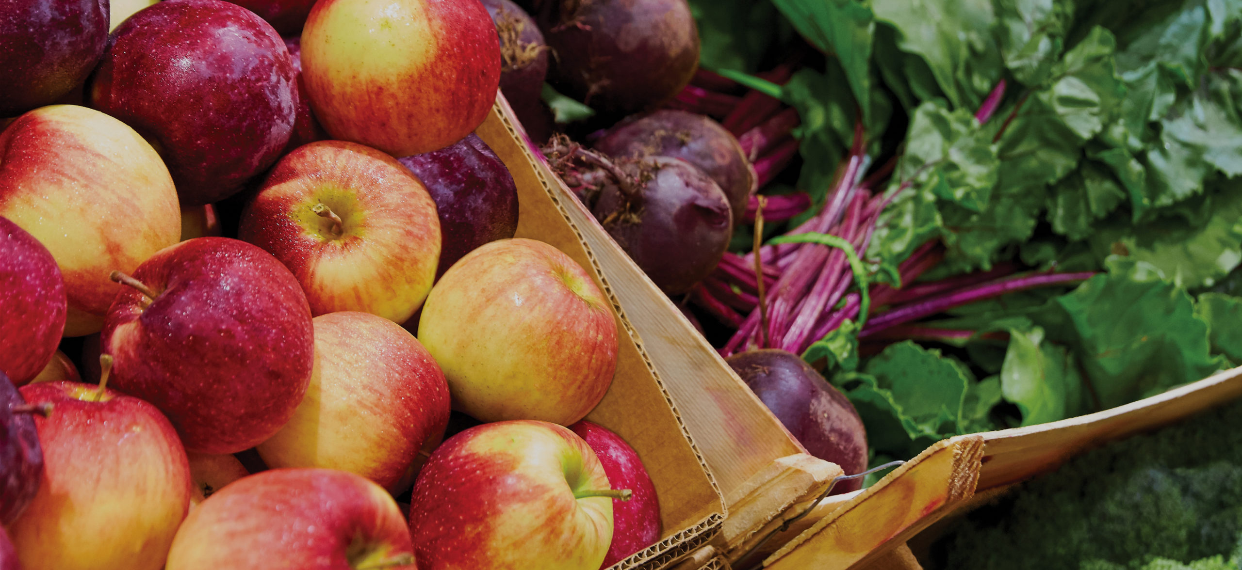 Our Produce - Hunts Point Produce Market